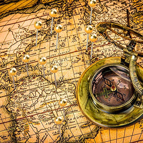 AIEX 1000 Pieces Head Map Push Pins Map Push Pins Head Pin - Want It All