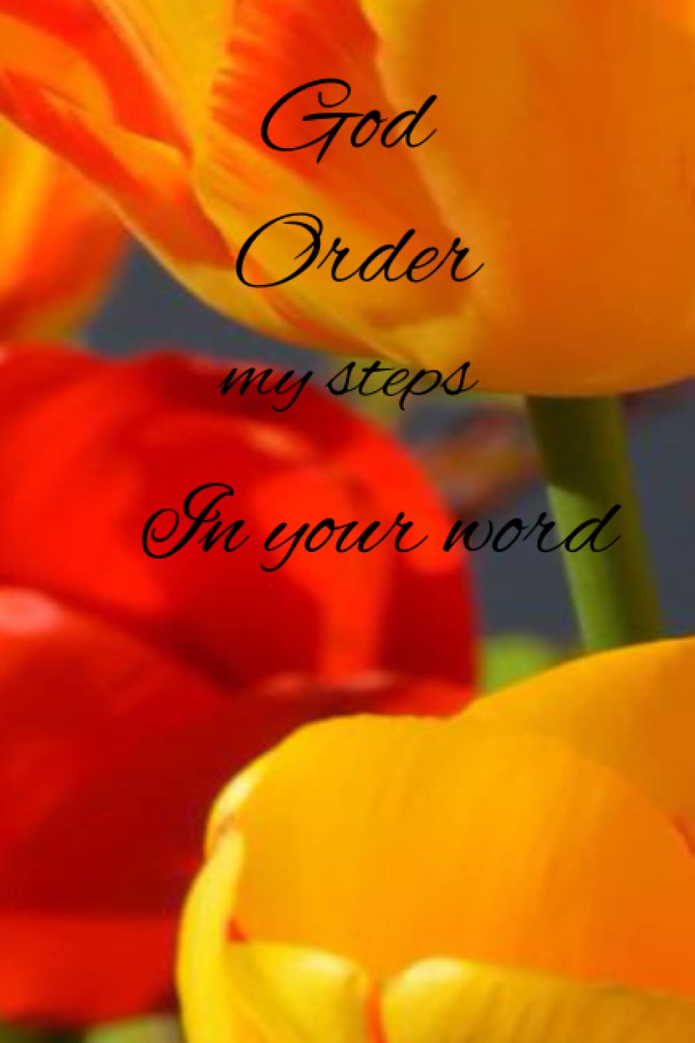 God Order my steps In your word: Prayer notebook for Woman of God ...