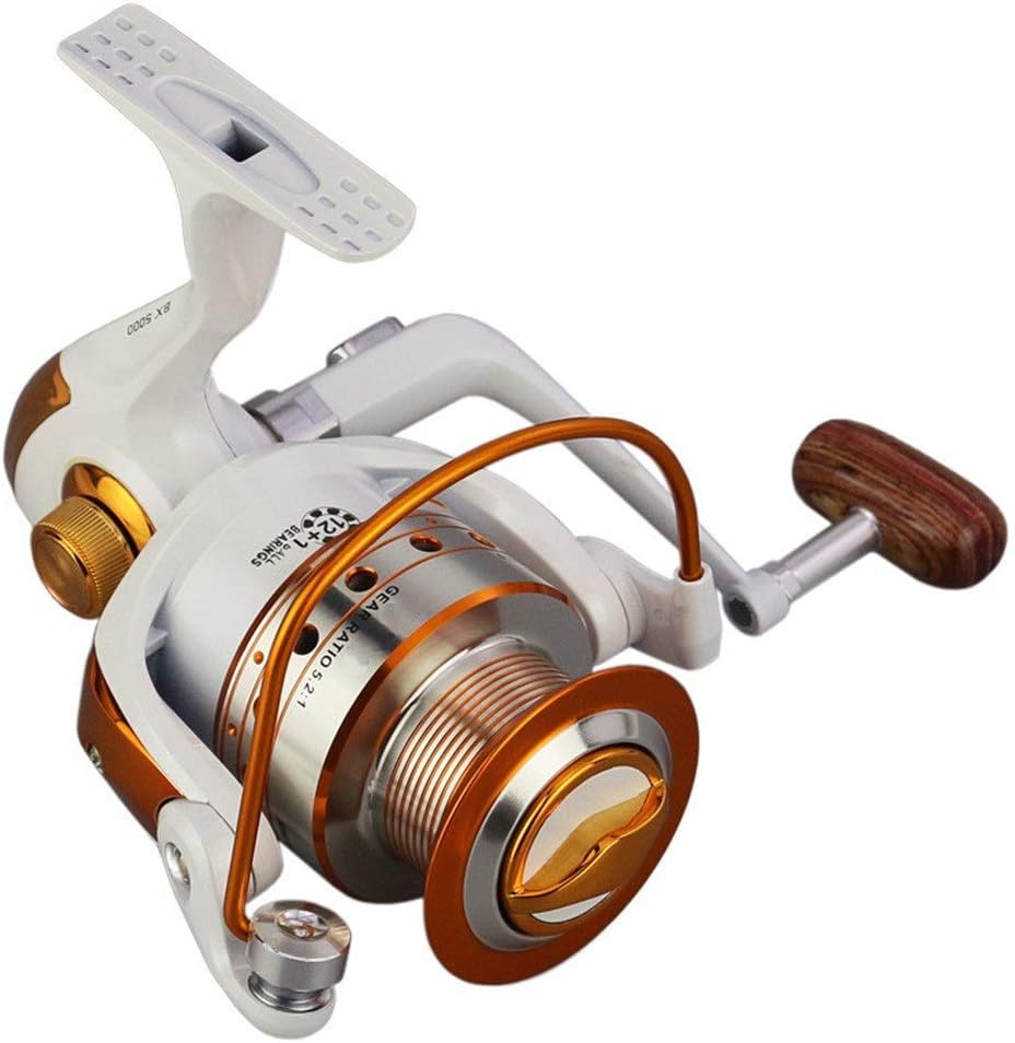 Amazon.com: Fishing Reel Spinning Fishing Reel Left/Right ...