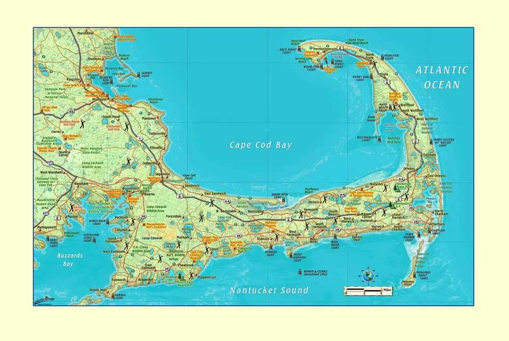 Cape Cod 33" × 21" Wall Map Gloss Laminated: William C Tipton ...