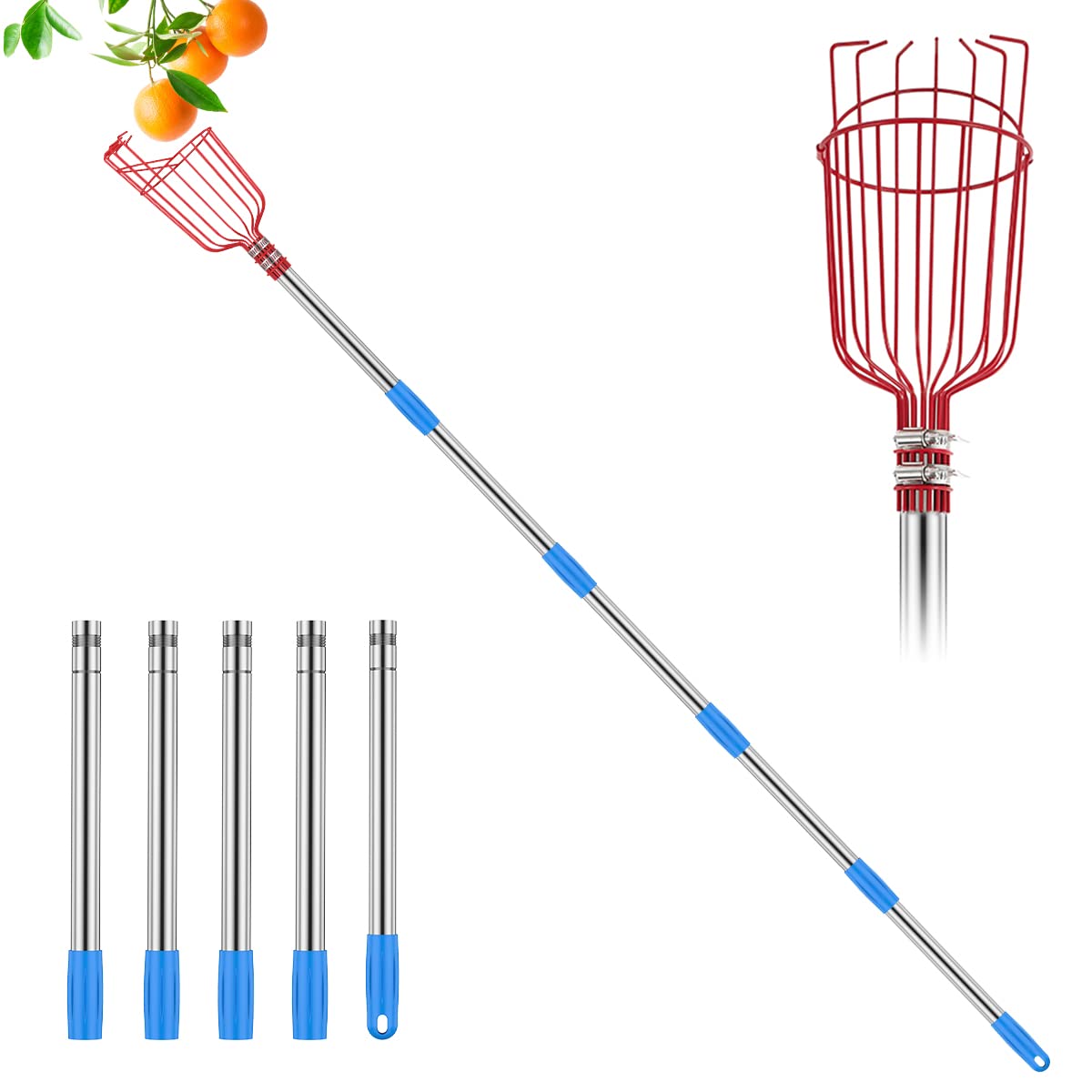 Jetcloud Fruit Picker with Adjustable Telescoping Pole Stainless Steel ...