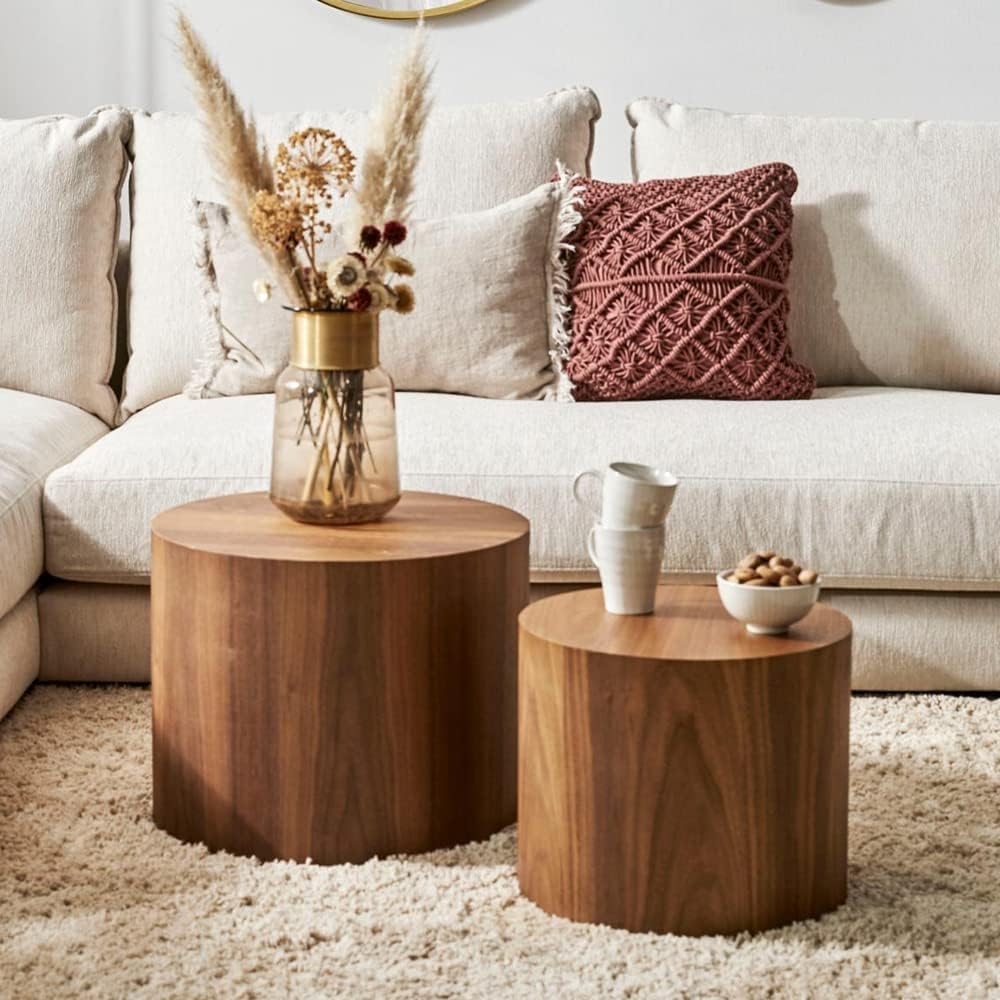Amazon.com: IKSII 2-Piece Set Modern Round Coffee Tables for Living ...