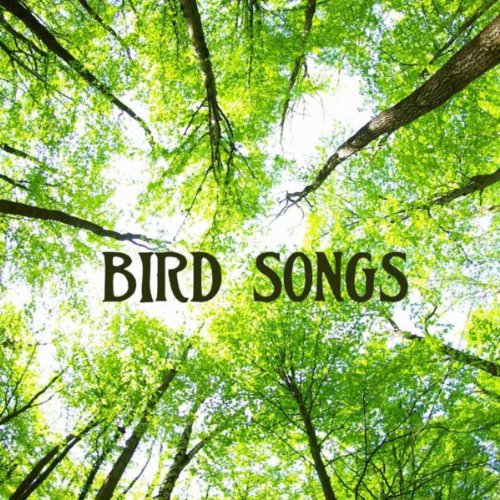 Play Bird Songs: Relaxing Sounds, Sounds of Nature Music for Massage ...