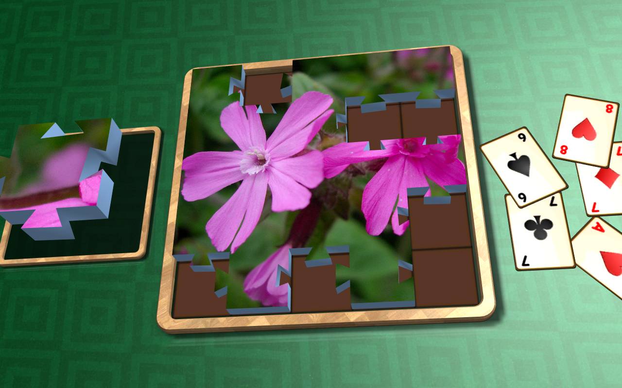 Jigsaw Solitaire - Plants FireTV - App on Amazon Appstore