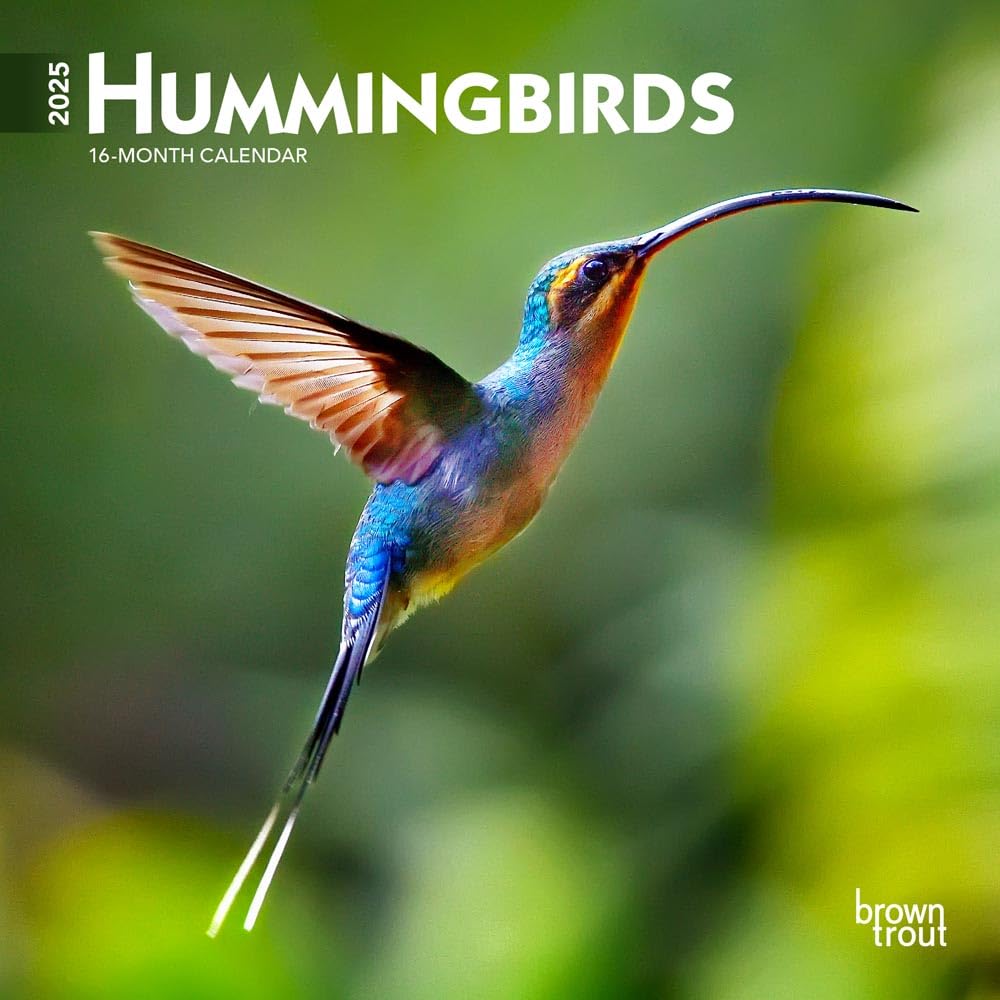 Hummingbirds | 2025 7 x 14 Inch Monthly Mini Wall Calendar | Plastic ...