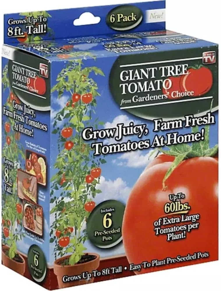 Amazon.com : Gardeners' Choice Giant Tomato Tree : Tomato Plants ...