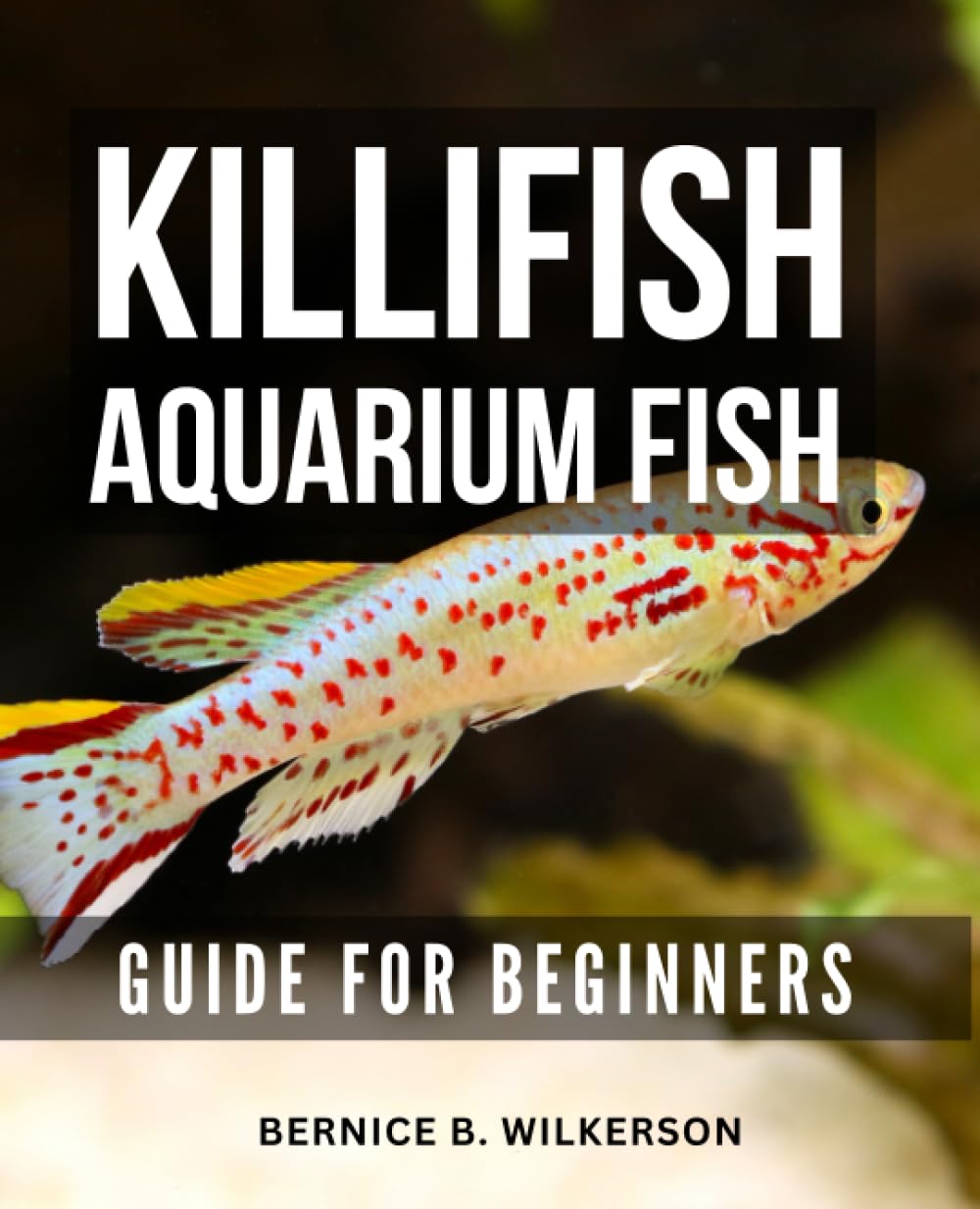 Buy Killifish Aquarium Fish Guide For Beginners: A Guide to Keeping and ...