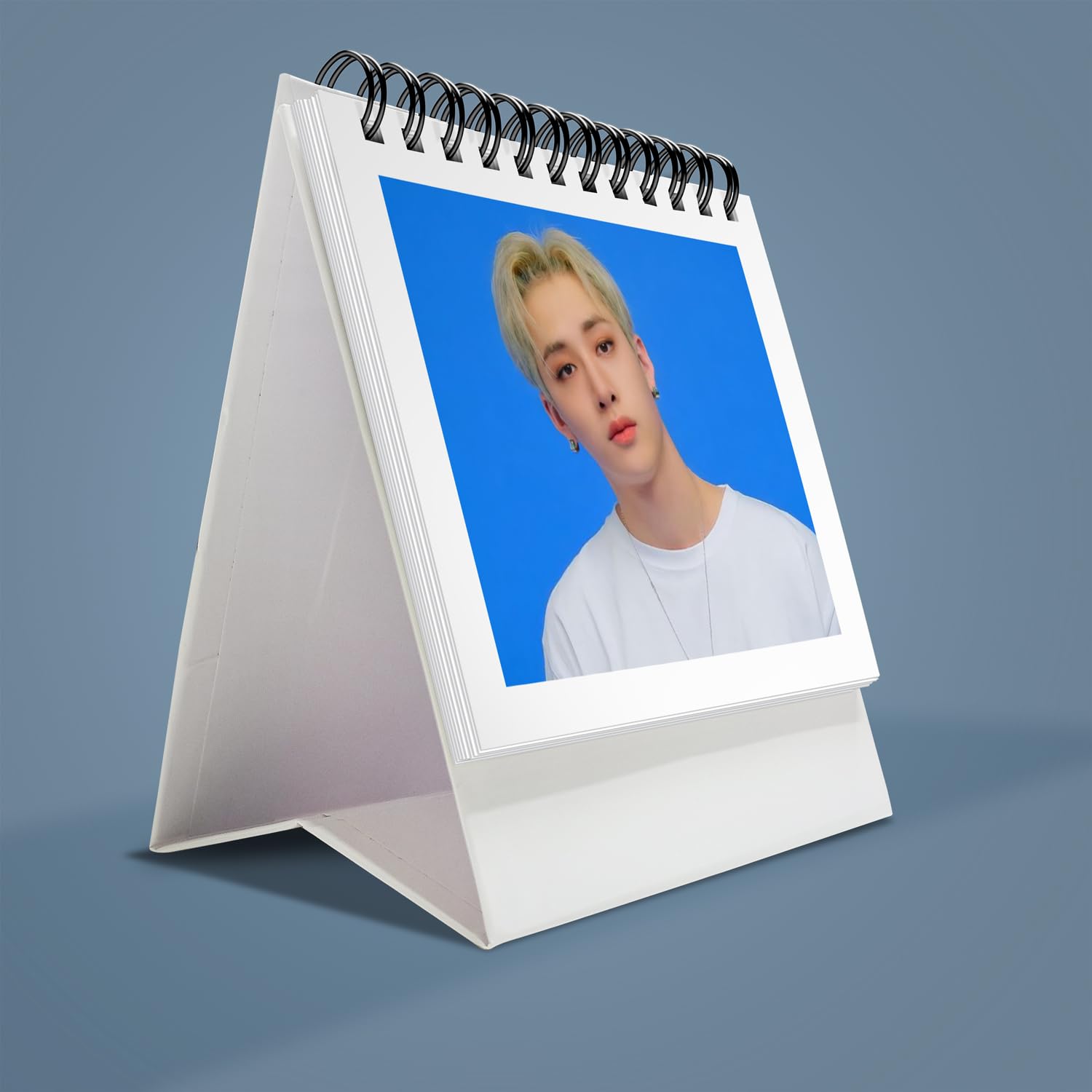 Stray Kids Desk Photo Album (Set of 1) 24 Photos (Front-Back) : Amazon ...