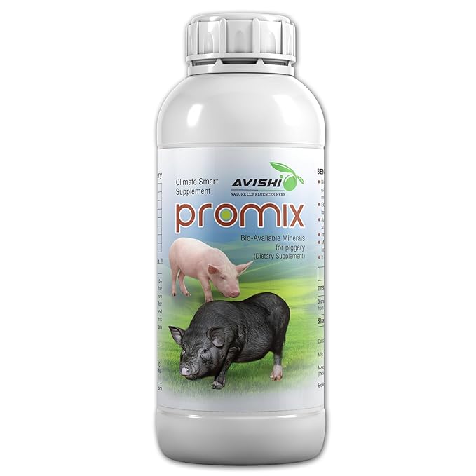 Avishi Promix (500 ML) : Amazon.in: Health & Personal Care