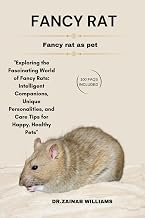 The Ultimate Guide To Caring For Fancy Mice | PetShun