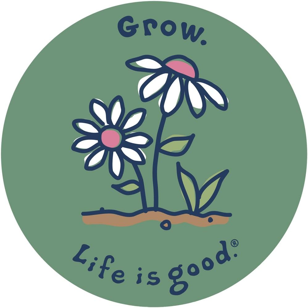 Amazon.com: Life is Good. Six-Pack Stickers, Vintage Pack