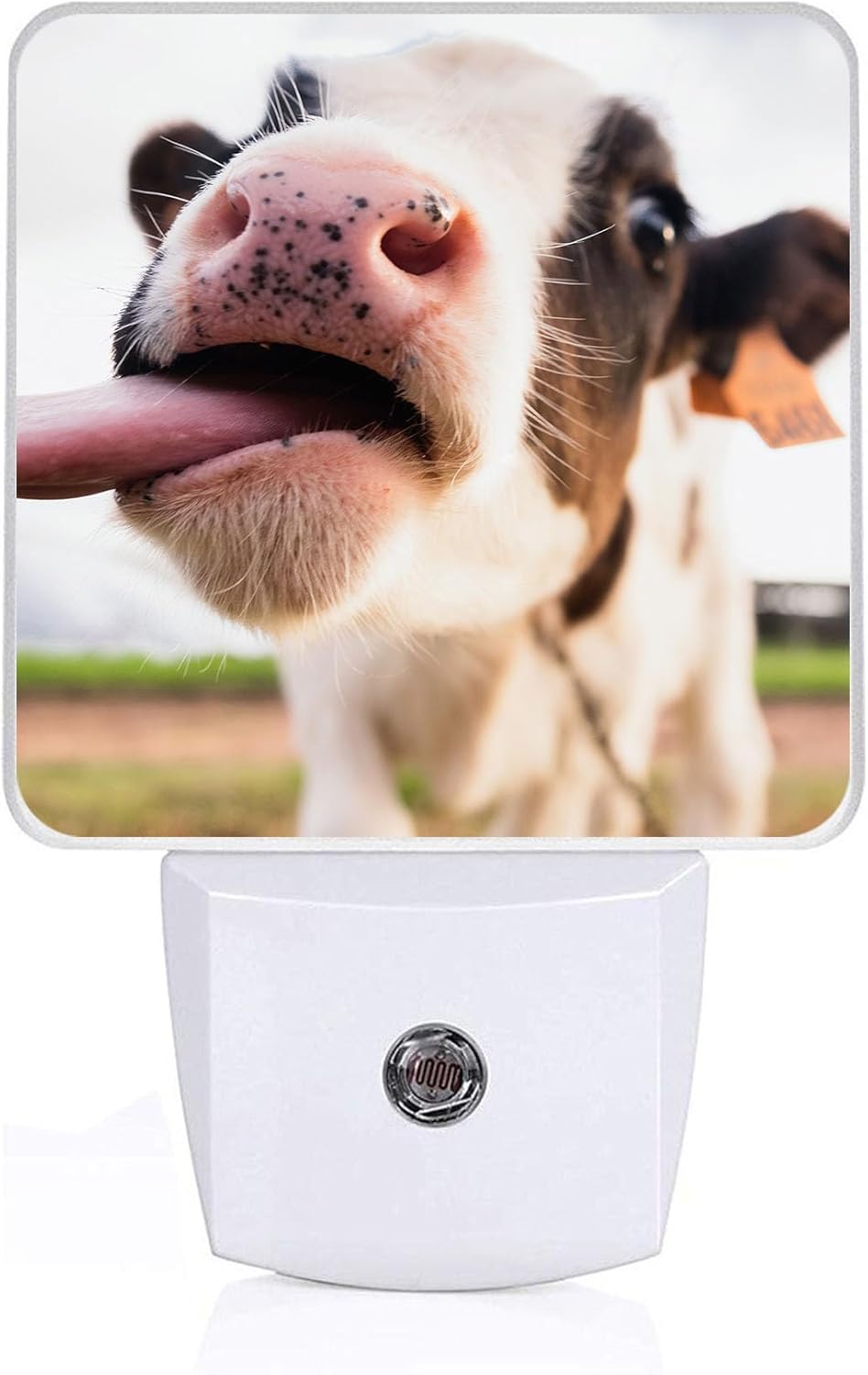 SLHFDKL Cute Cow Night Light, Plug-into Wall Farmhouse Animals ...