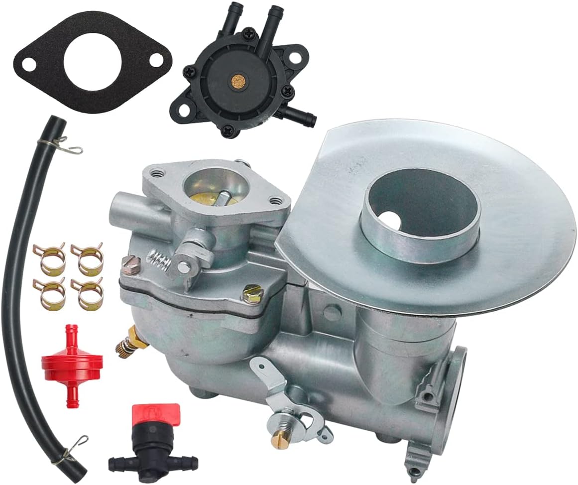 Amazon.com: 392587 Carburetor for Briggs and Stratton Fits for 391065 ...