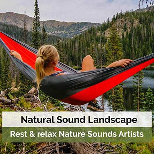 Amazon.com: Natural Sound Landscape : Rest & Relax Nature Sounds ...