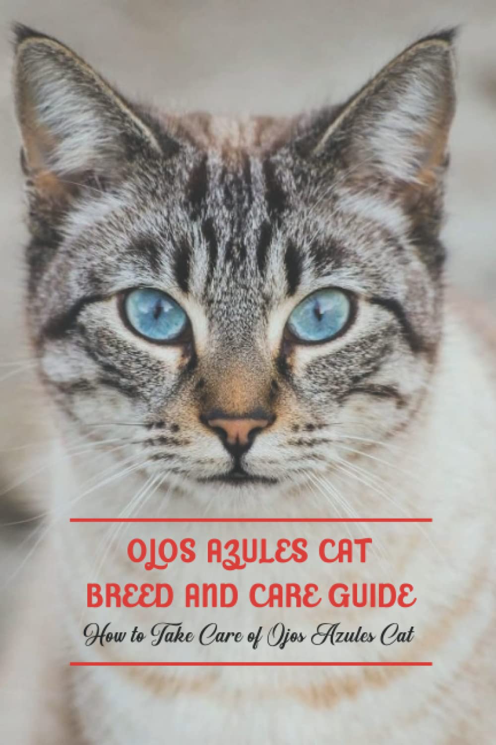 Buy Ojos Azules Cat Breed and Care Guide: How to Take Care of Ojos ...
