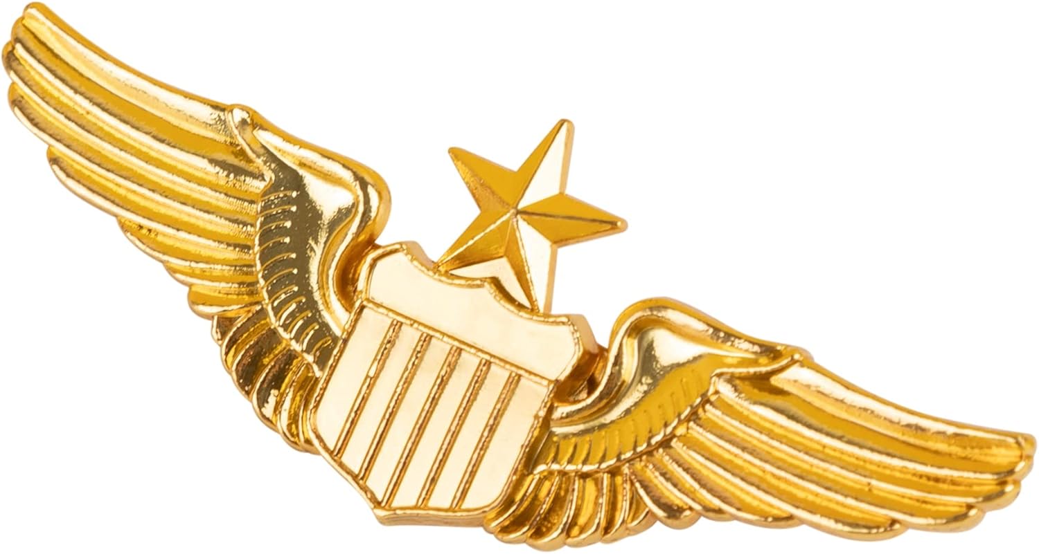 Amazon.com: NaienCraft, Pilot Wing Pin Senior Metal Wing Badge Gold ...