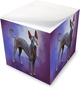 Amazon.com : Mexican Hairless Dog Note Cube : Office Products
