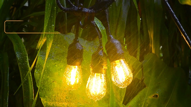Watch S14 LED Filament Bulbs on Amazon Live