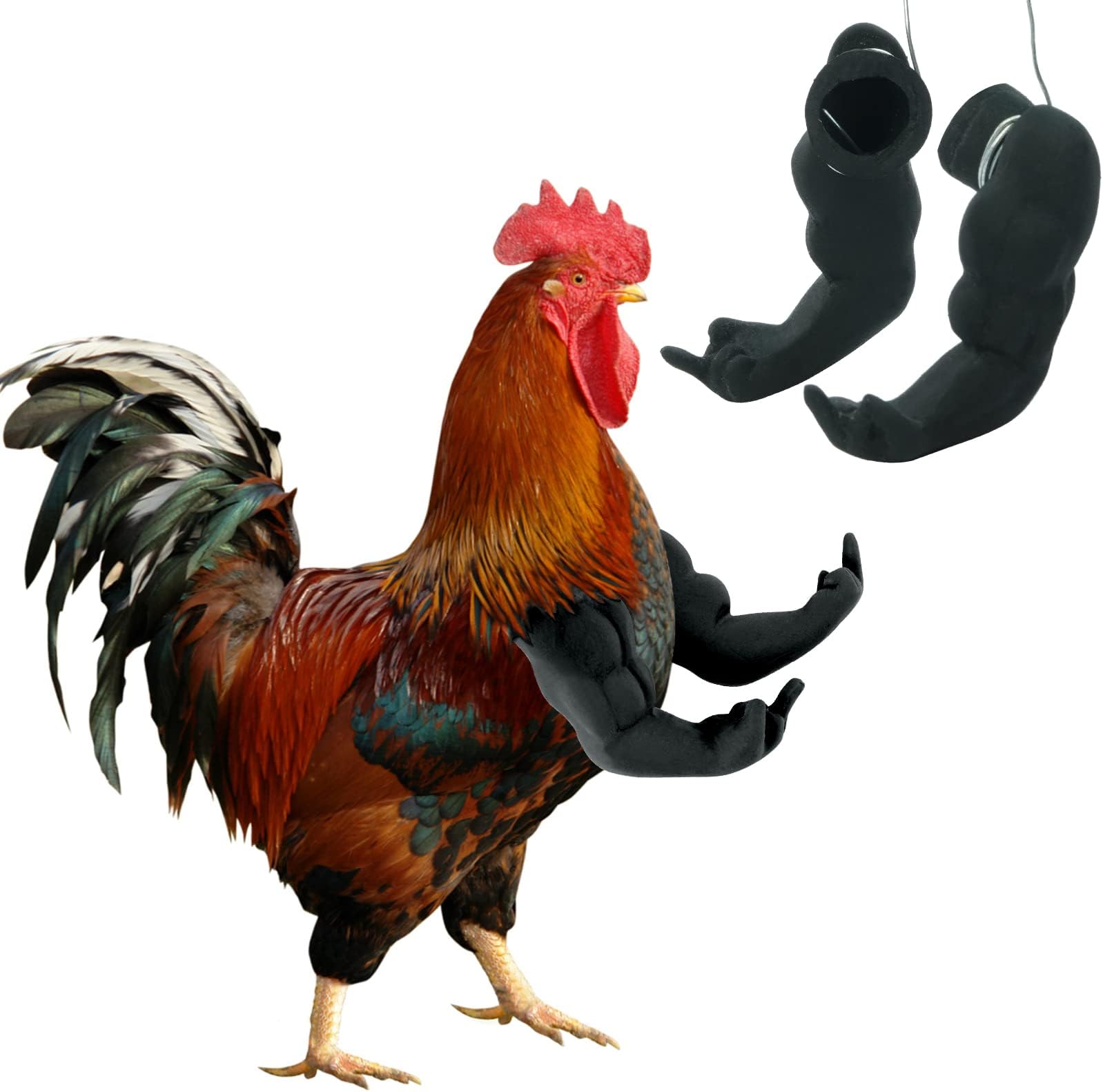 Amazon.com : FUAMEY Muscle Chicken Arms Toys for Chickens to Wear ...