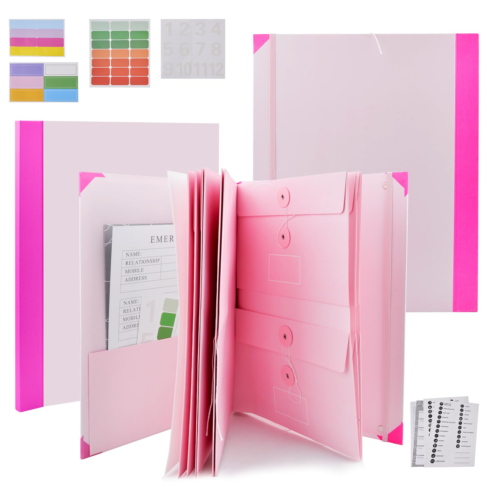 Amazon.com : Multi-Functional Binder Organizer, Important Folder with ...