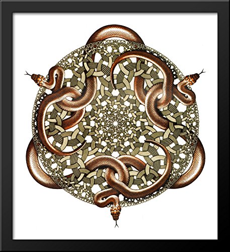 Amazon.com: Snakes 28x30 Large Black Wood Framed Print Art by M.C ...