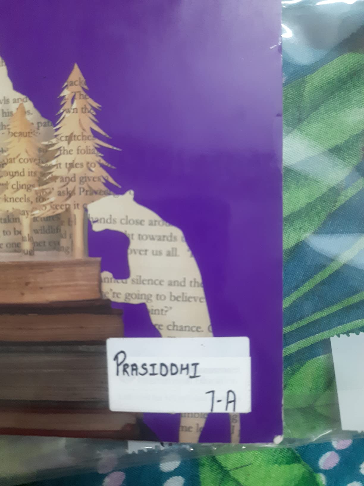 Cambridge Lower Secondary English Learner's Book 8 with Digital Access ...