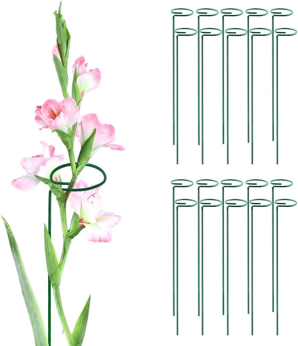 Amazon.com : Green 24 inch Single Stem Plant Stakes Flower Support ...