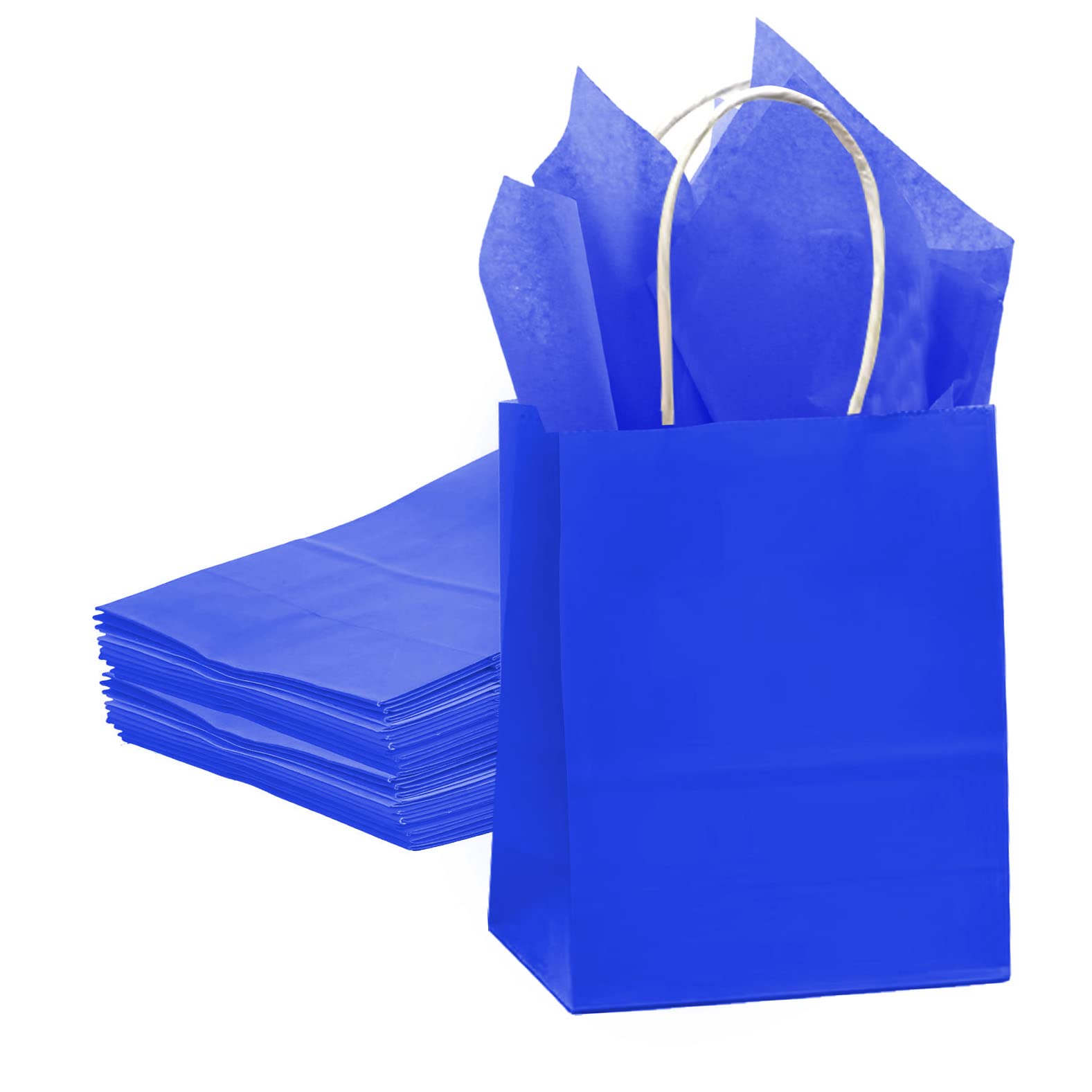 TIMBLESSING 24 Blue Bulk Kraft Party Gift Bags With 24 Sheets of Blue ...