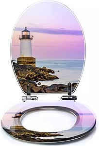 DERUINVAIO Colored Toilet Seat with Slow Close, Fort Pickering ...