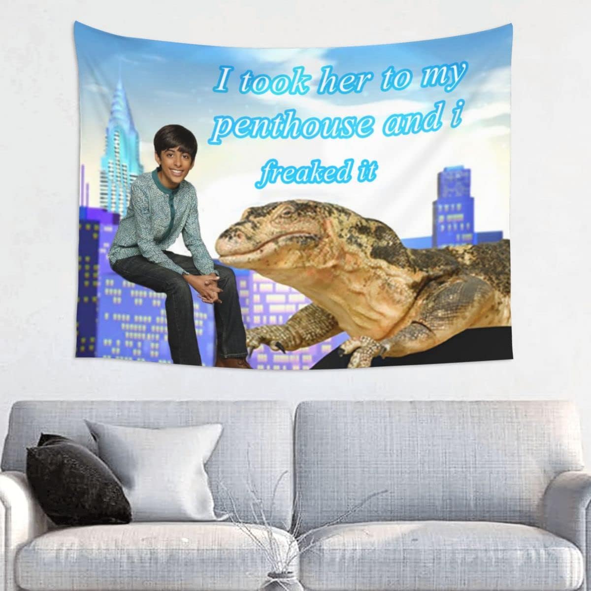 Amazon.com: YAVITH I Took Her to My Penthouse Ravi Tapestry,Meme ...