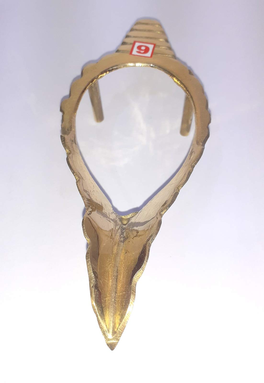 Amazon.com - Shankh Stand Shankha Conch Stand Brass Handicraft Solid ...