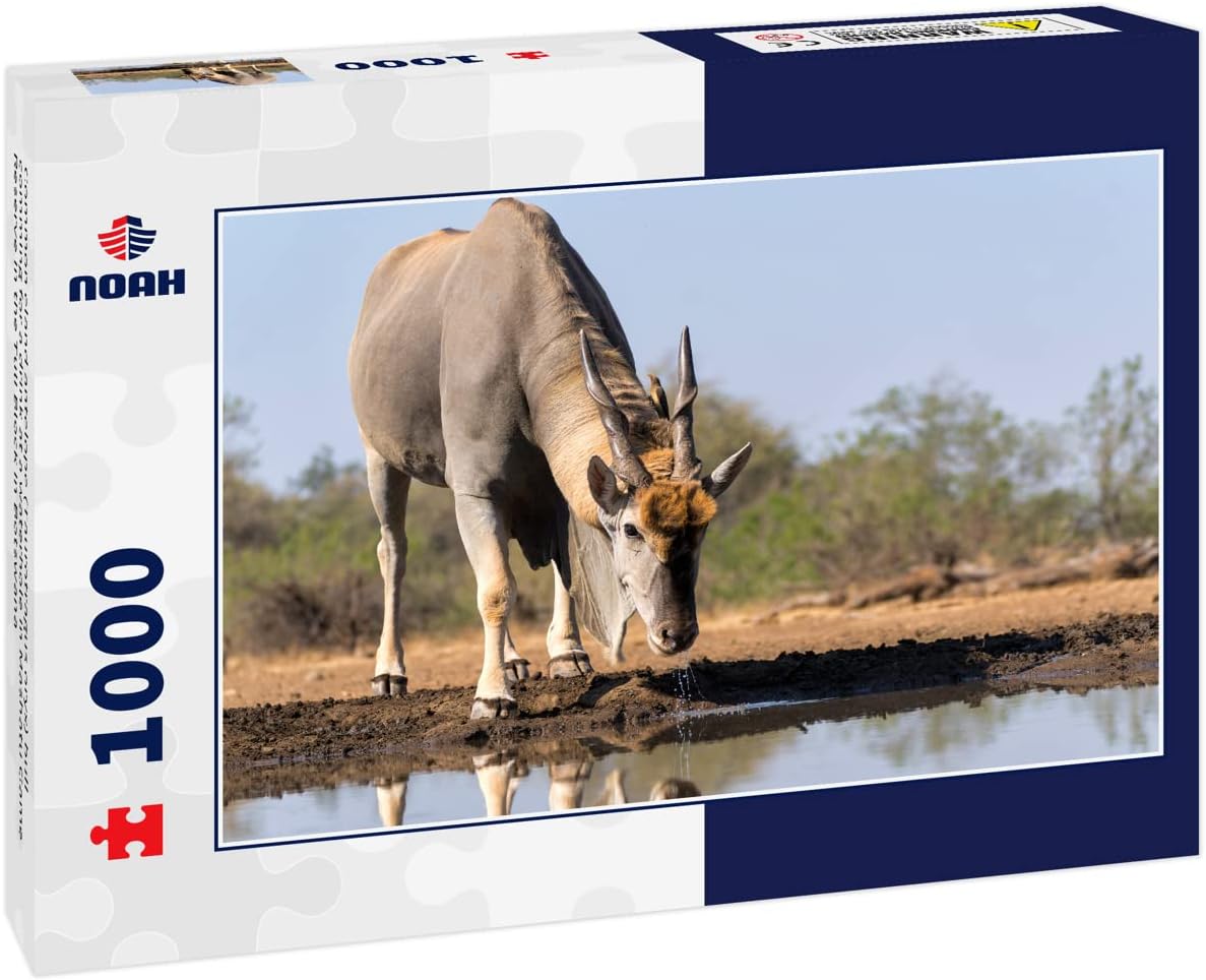 Amazon.com: Noah Jigsaw Puzzle Common Eland Antelope (Taurotragus Oryx ...