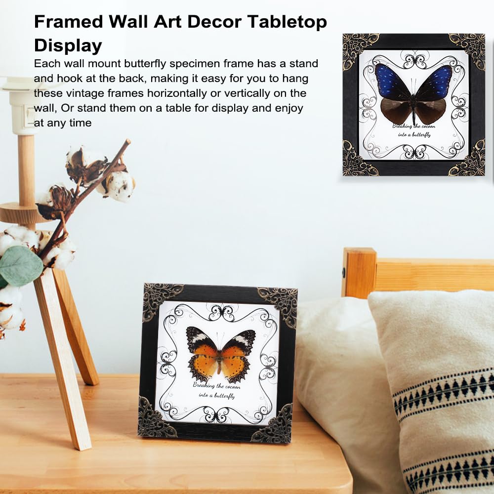Butterfly Collections Frames Purple Butterfly Collection Real Framed