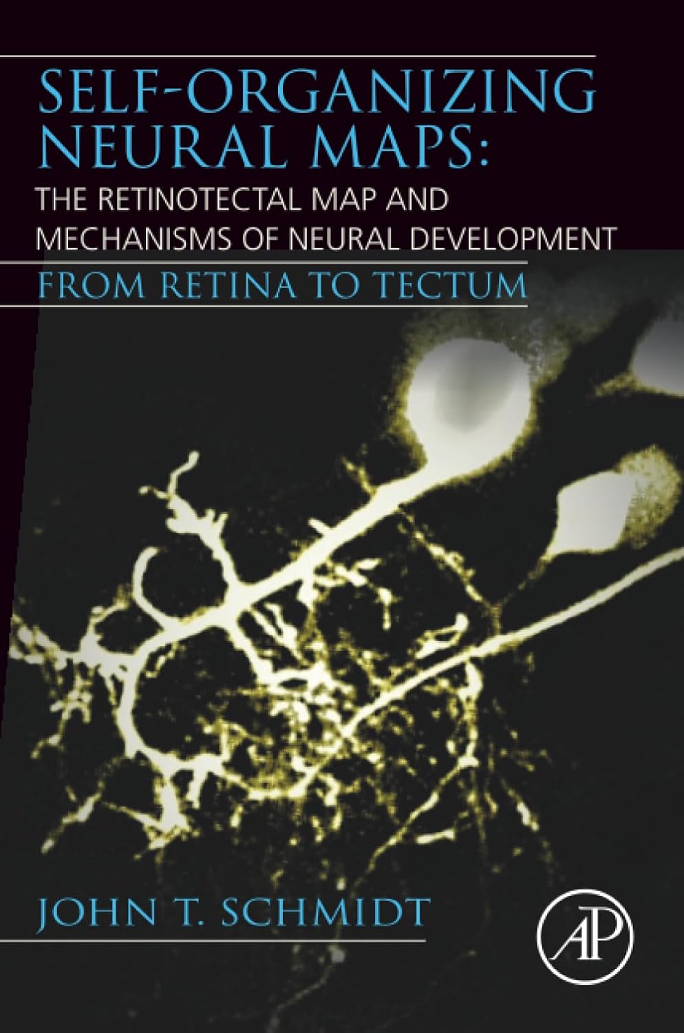 Self-organizing Neural Maps: The Retinotectal Map and Mechanisms of ...