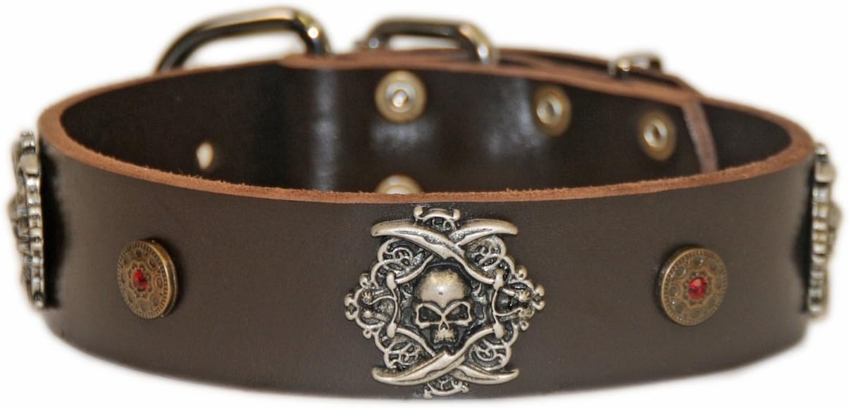 Amazon.com : Dean and Tyler The Pirate Leather Dog Collar with Solid ...
