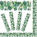 Amazon.com: Eucalyptus Bulletin Board 70.8ft Die-Cut Classroom Boho ...