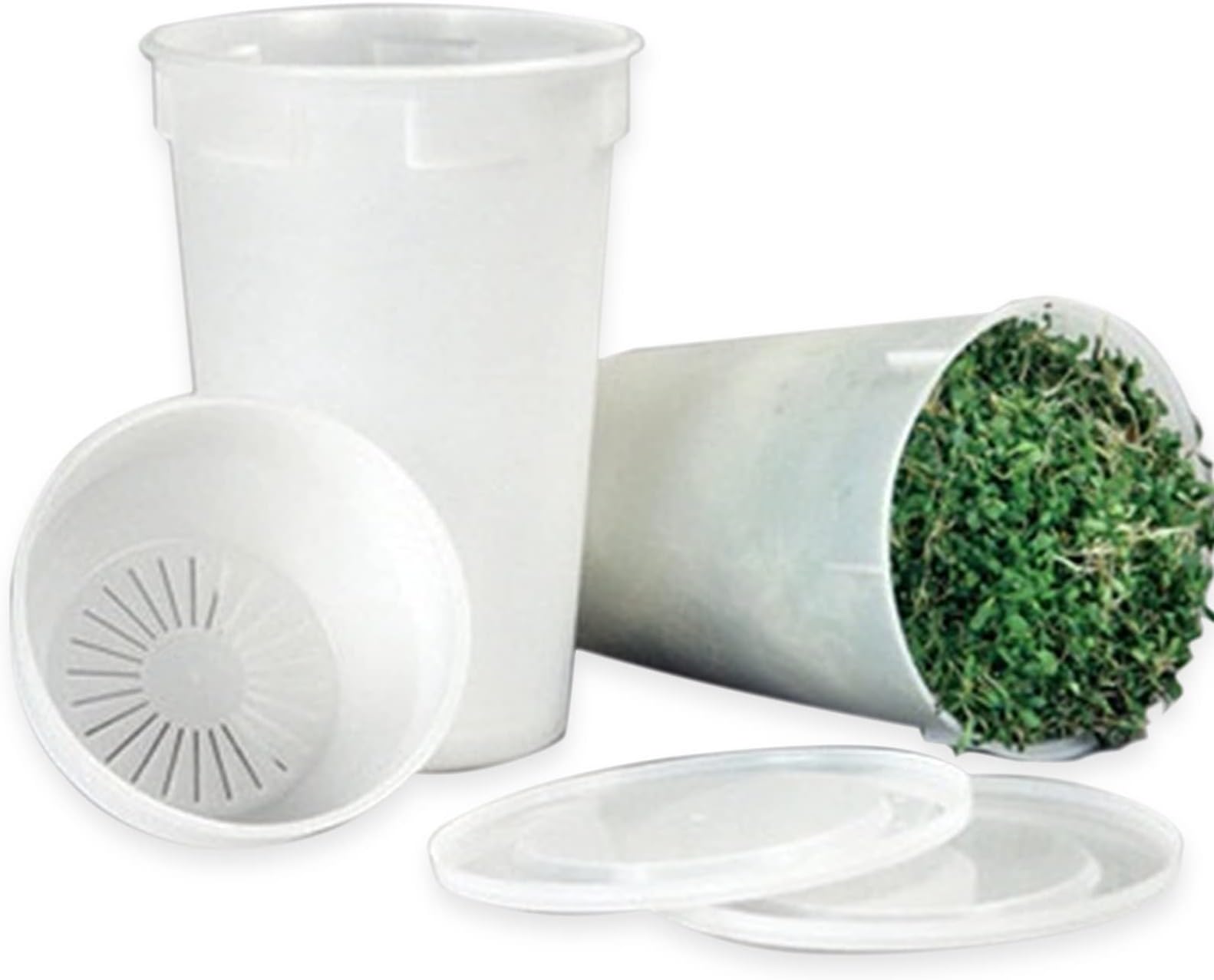 Amazon.com : Todd’s Seeds - Seed Sprouting Kit – Easy to Use Sprouting ...