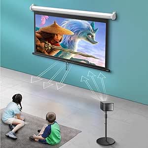 Amazon.com: LENG Ceiling Projector Screen Pull Down 60 Inch Projection ...
