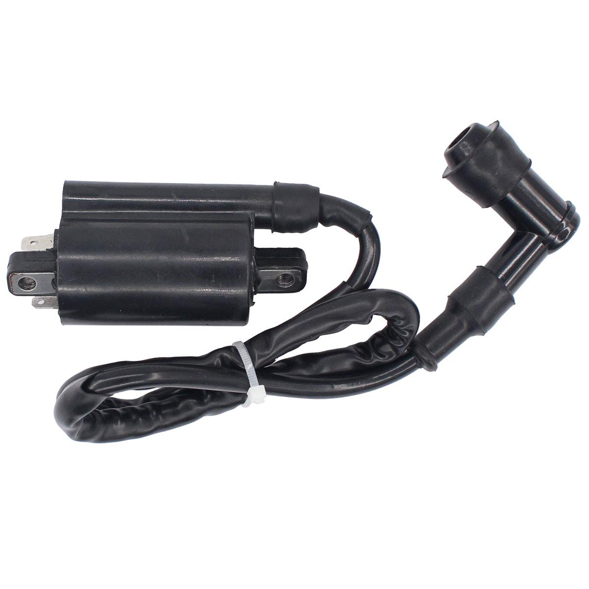Ignition Coil for John Deere LX178 LX186 LX188 LX277 LX279 LX289 325 ...