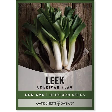 Amazon.com : Sow Right Seeds - Giant Leek Seed for Planting - Non-GMO ...