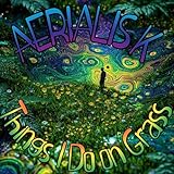 【発売日：2026年04月26日】・製造元:8360641 Records DK