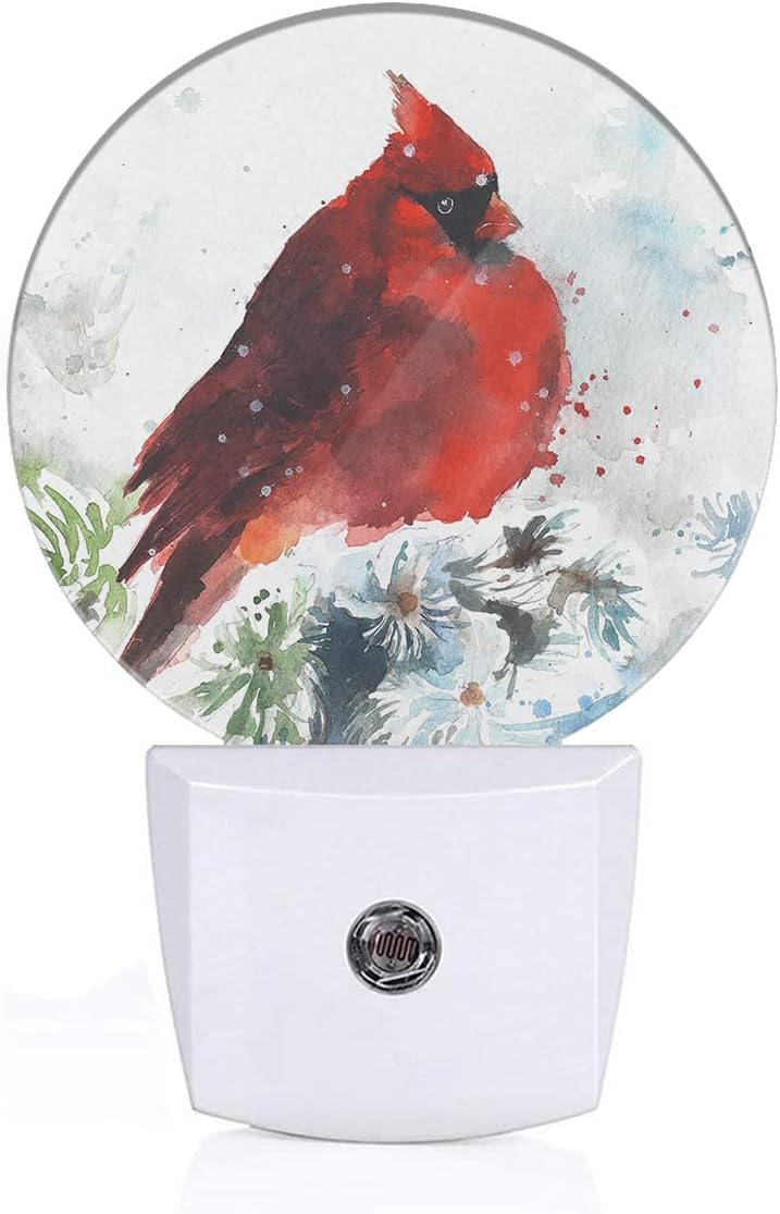 EKOBLA Watercolor Red Cardinal Night Light Bird on Branch Winter Snow ...