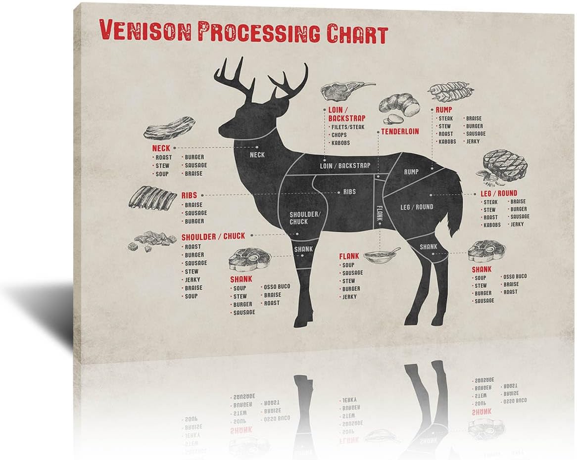 Amazon.com: Furtosyna Venison Deer Butcher Processing Chart Laminated ...