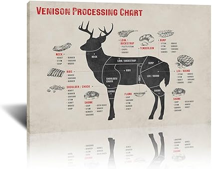 Amazon.com: Furtosyna Venison Deer Butcher Processing Chart Laminated ...
