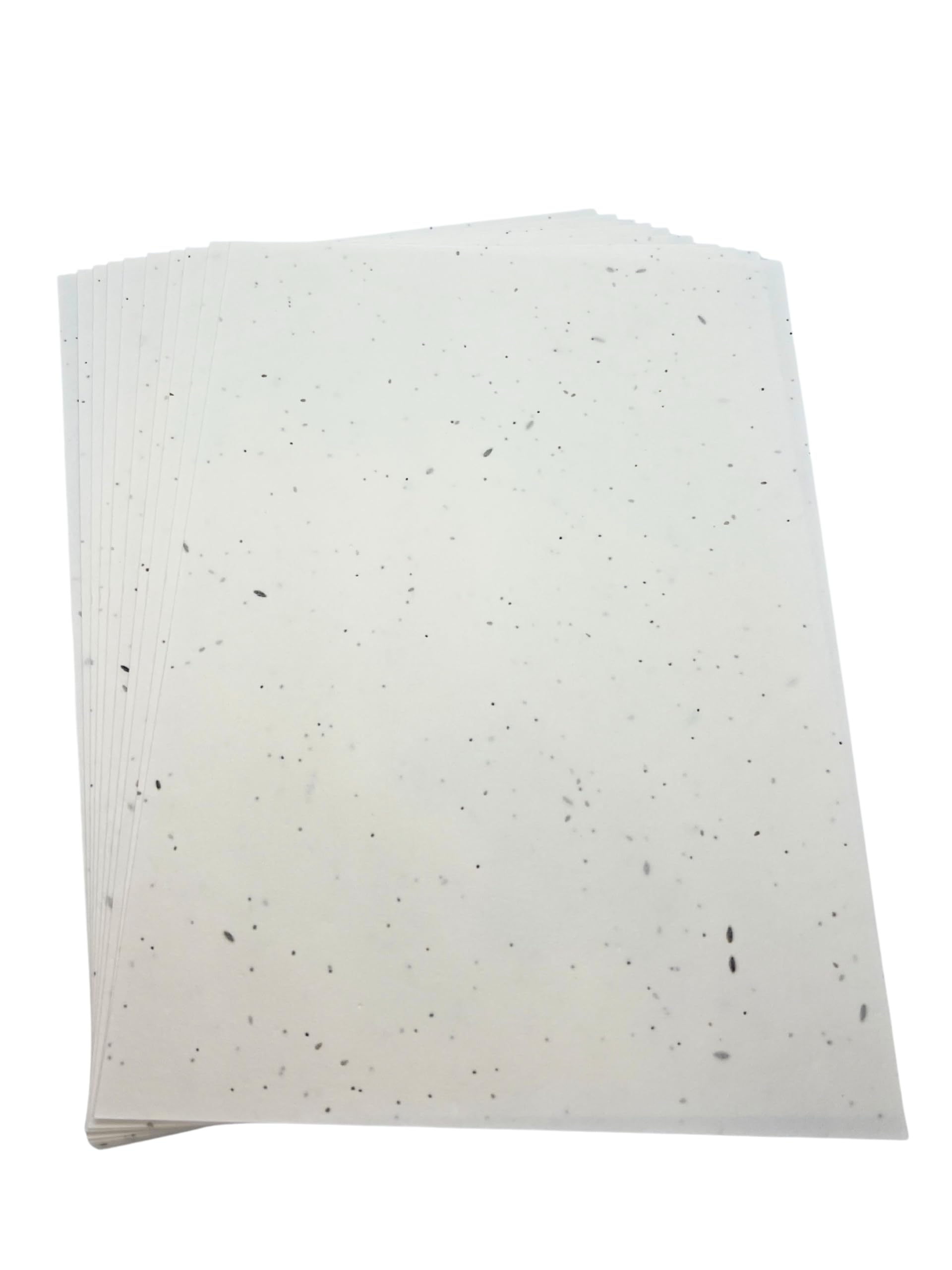 Plantable Paper Printable Plantable Paper A4 Culinary Garden