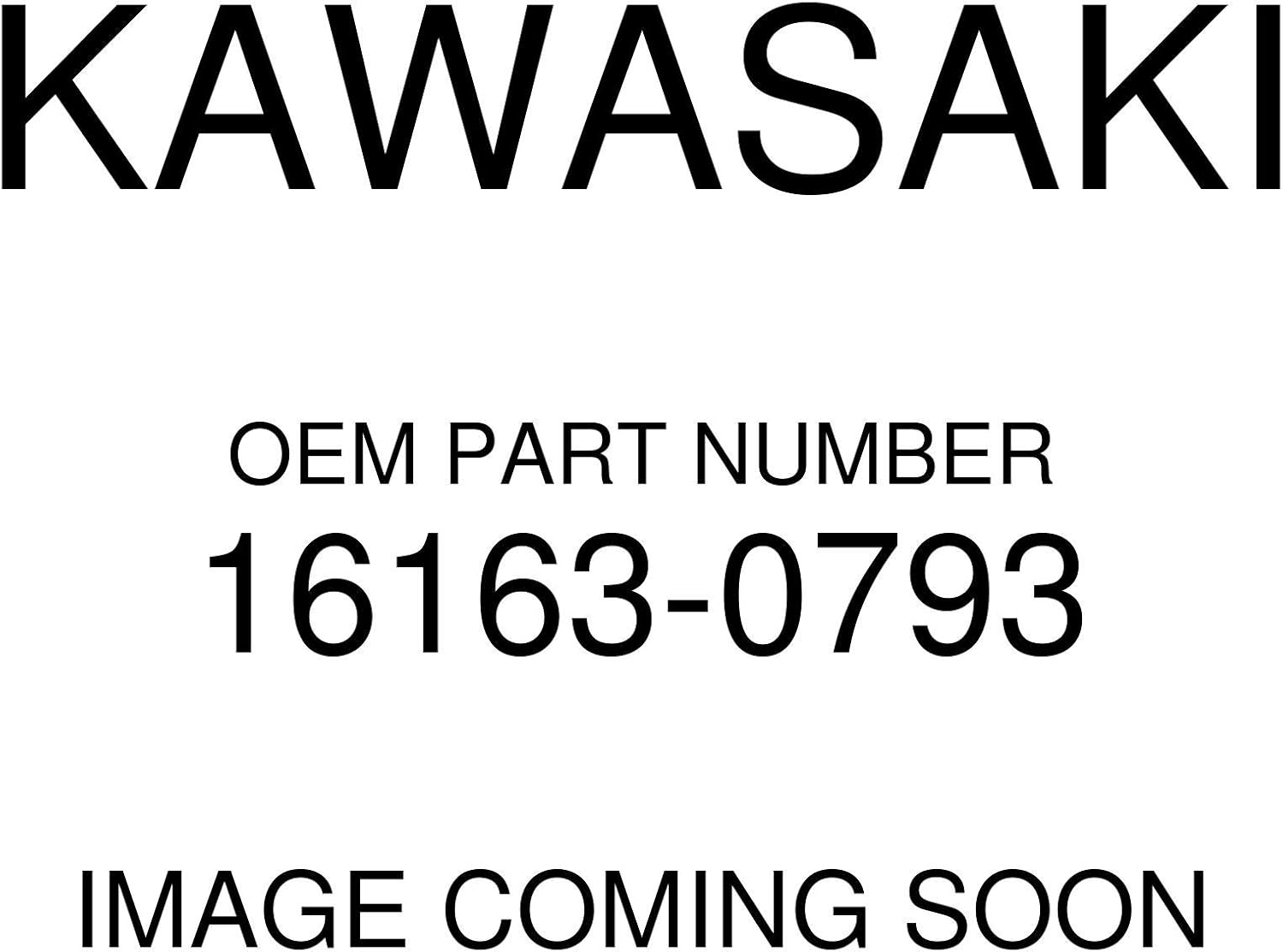 Amazon.com: New Kawasaki Throttle Body 16163-0793 2014-2018 Kawasaki ...