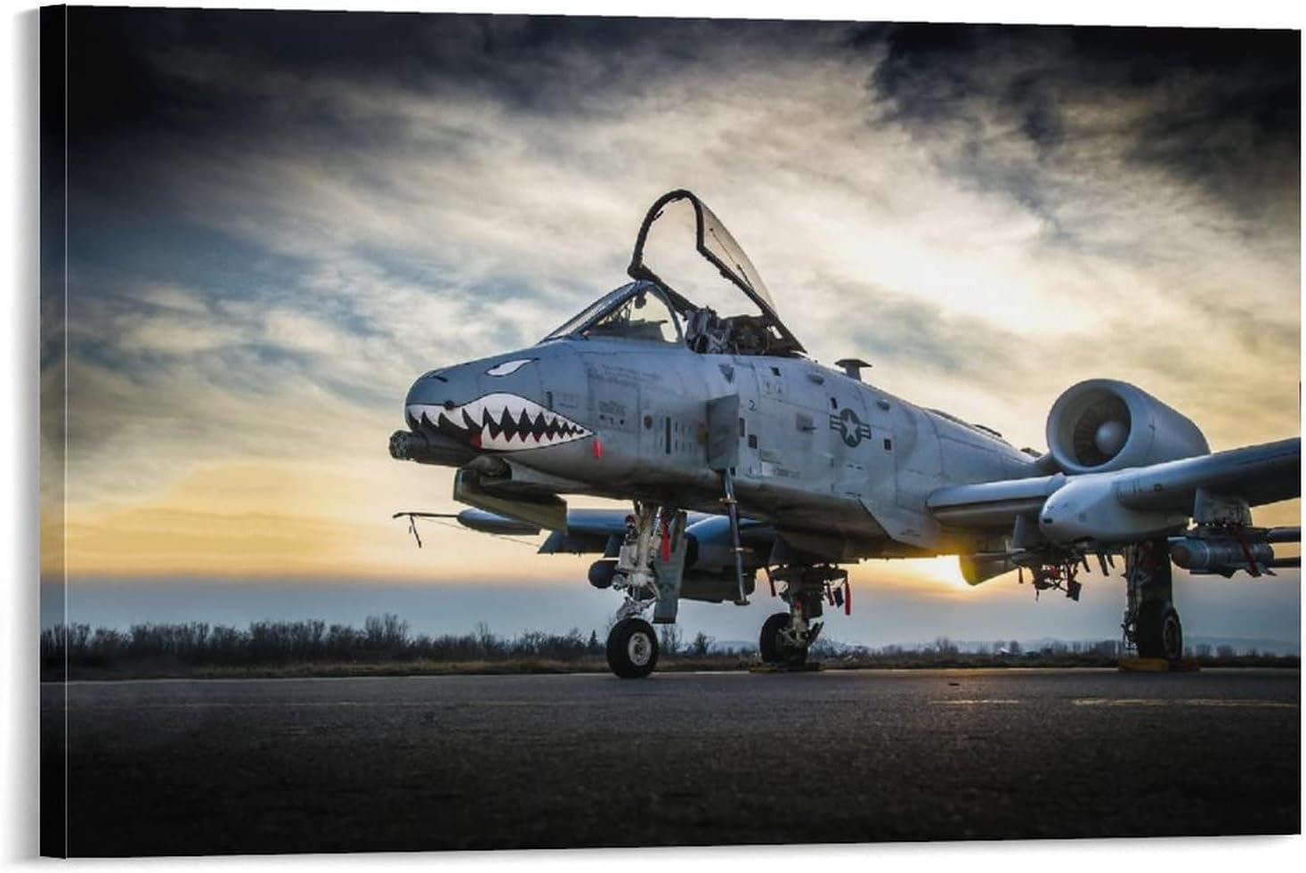 Amazon.com: A-10 Thunderbolt II Warthog Canvas Poster, World War II ...