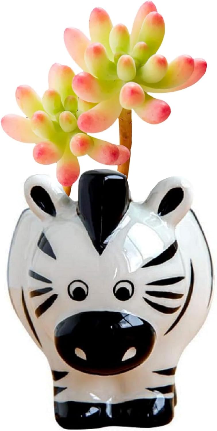 Amazon.com : chenwen Cute Zebra Shaped Planter Flower Pot Zebra Shape ...