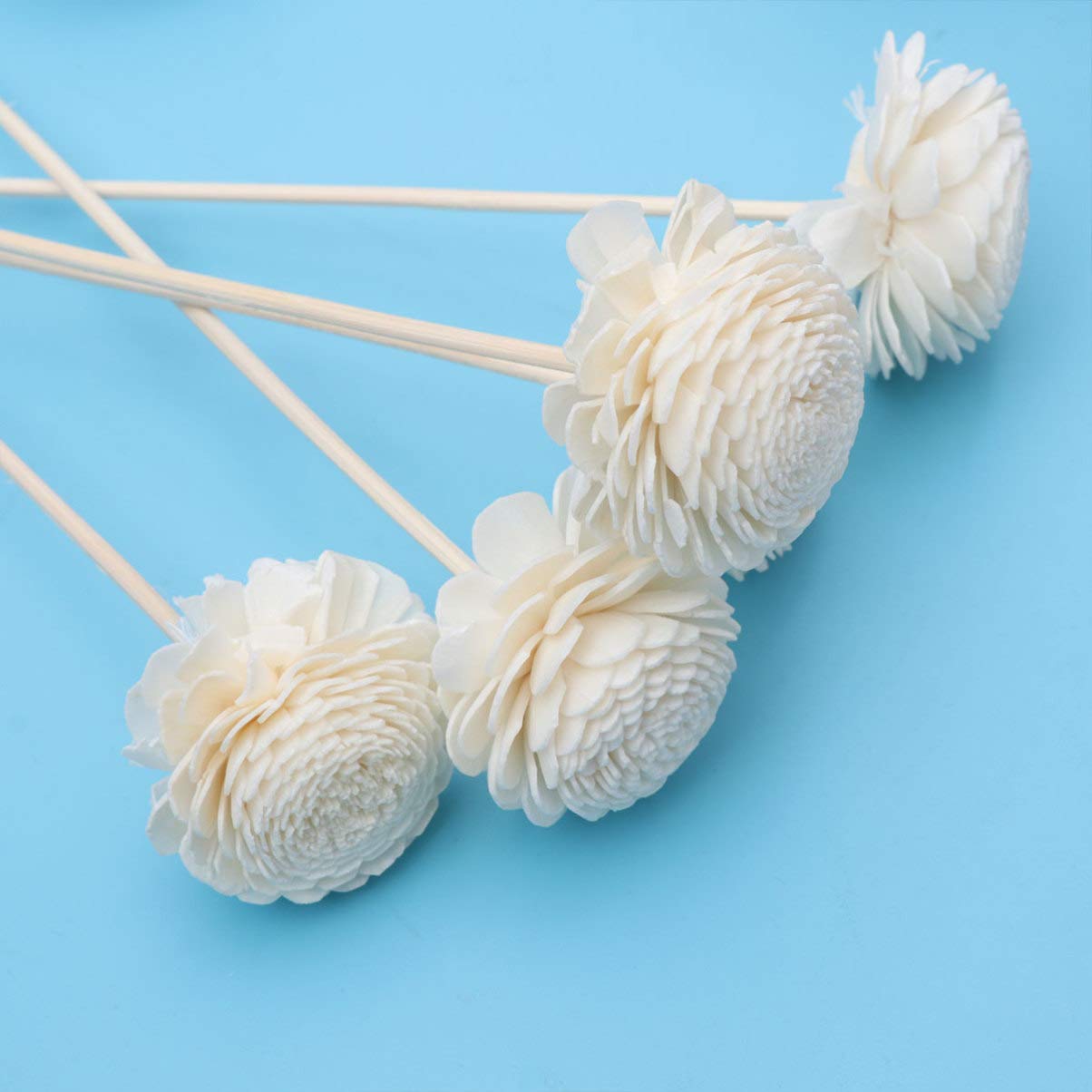 Amazon.com: FOMIYES 5 PCS Rattan Reed Diffuser Sticks, Reed Diffuser ...