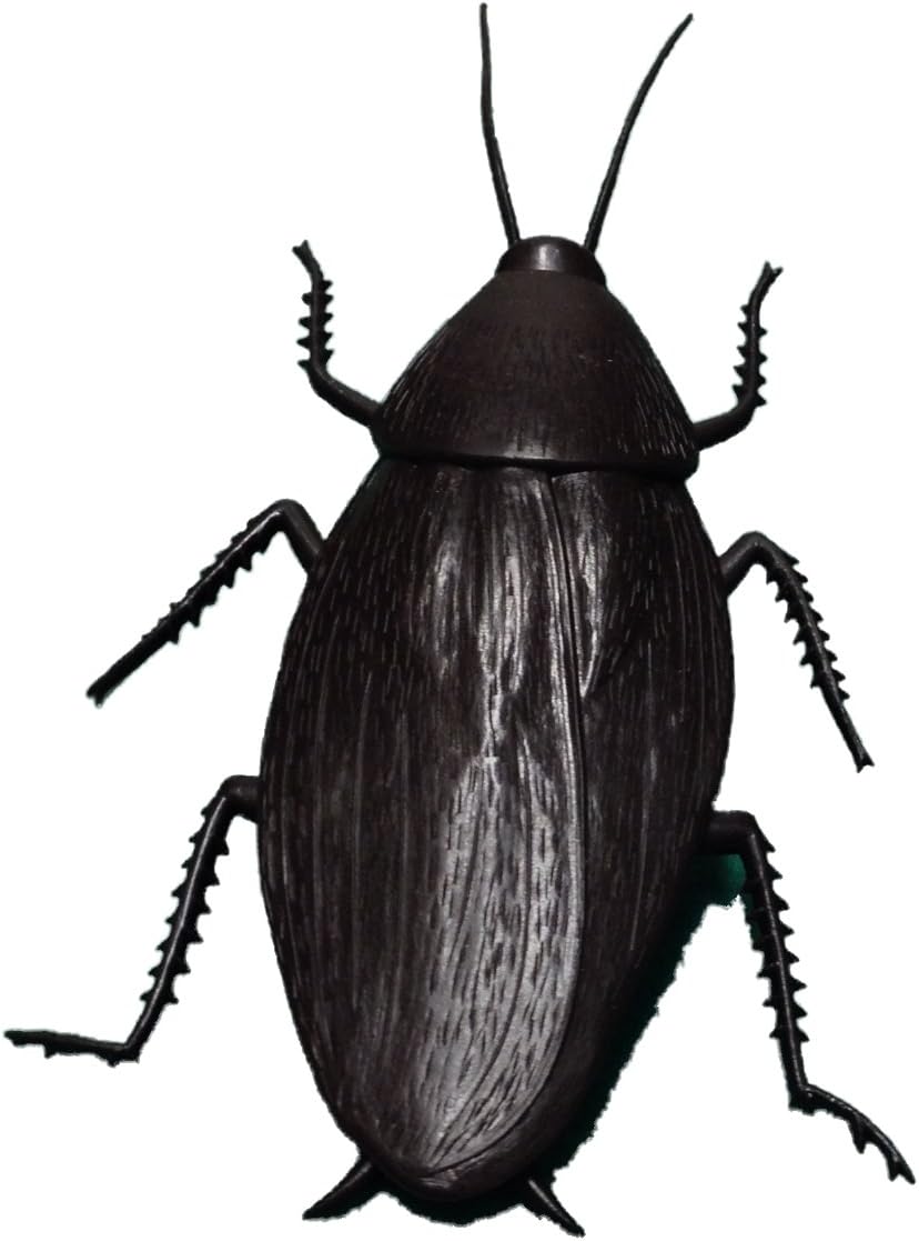 Amazon.com: Dillon Importing Jumbo Roach : Clothing, Shoes & Jewelry